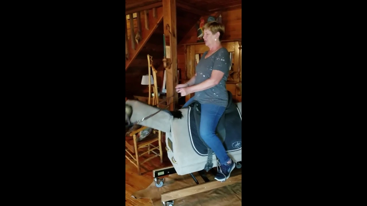 50 Plus Equestrian Dressage Pattern Practice on the Equicizer - YouTube