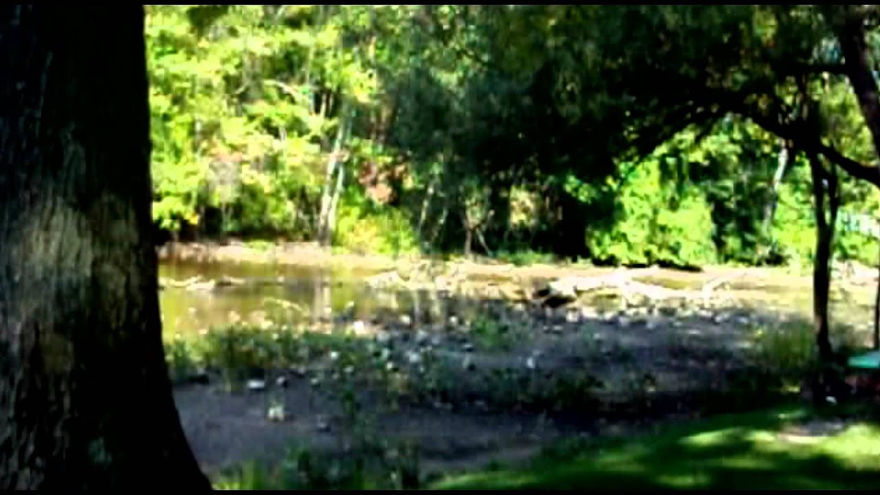 08-31 Kalamazoo river in Comstock, Michigan - YouTube