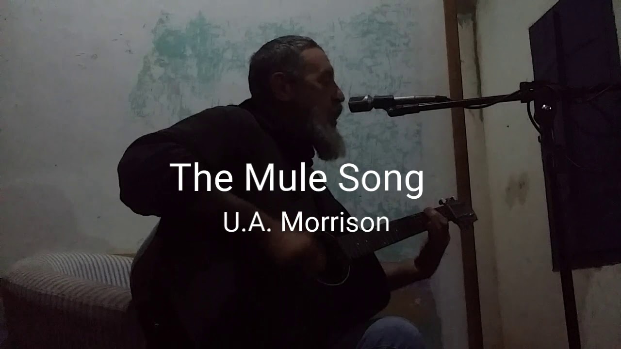 The Mule Song - YouTube