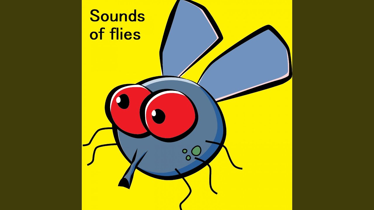 Loud buzzing sound of a flying and annoying fly - YouTube