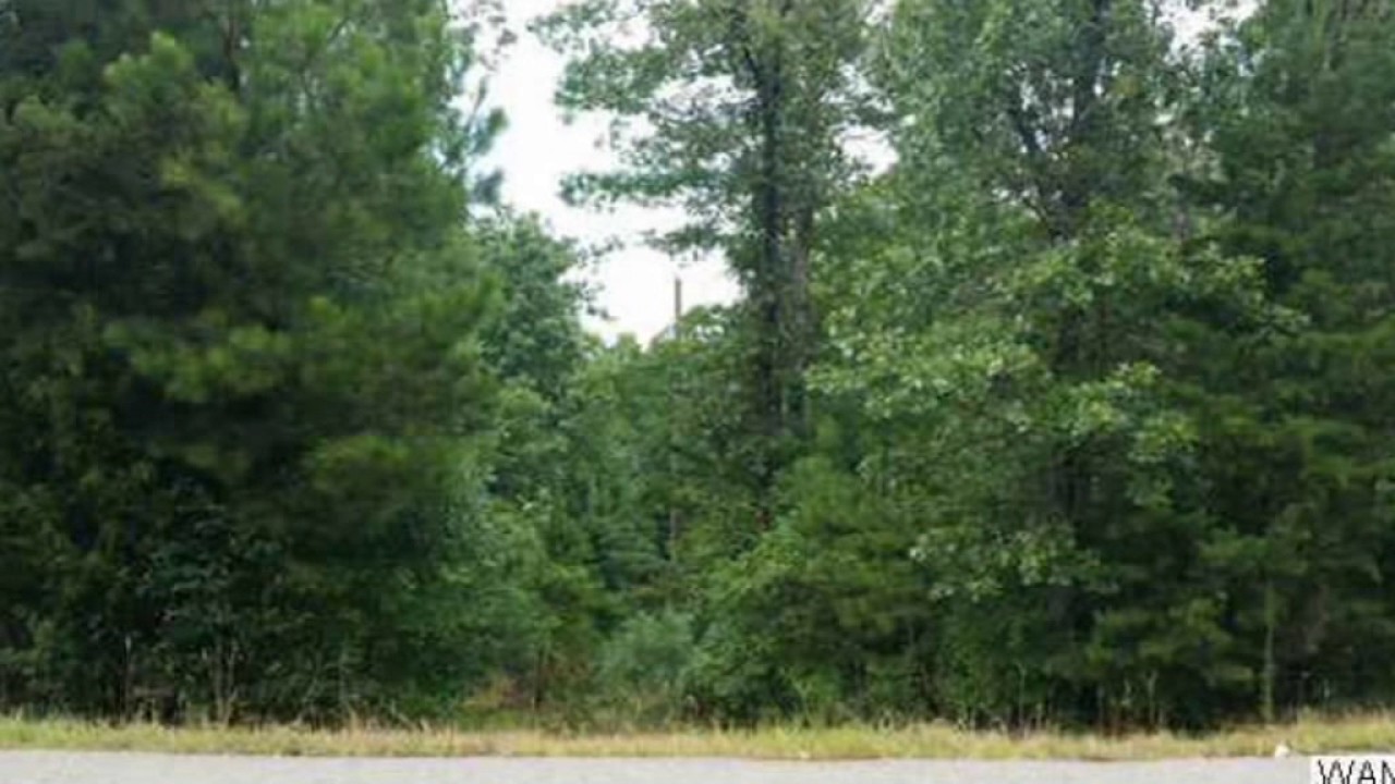 Homes for Sale in Tuscaloosa, 109836, 0 Paul Duncan Road, Carrie Fitts ...