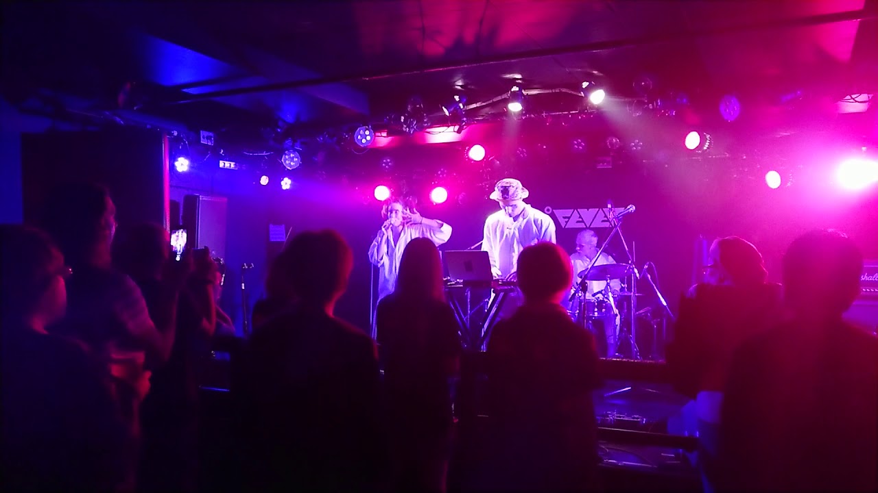 KIDS N CATS with つしまみれ - YouTube