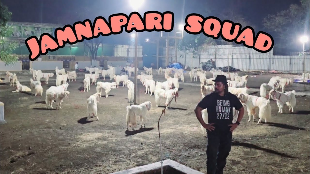 Jamnapari squad 2024...@Rkgoatfarm - YouTube
