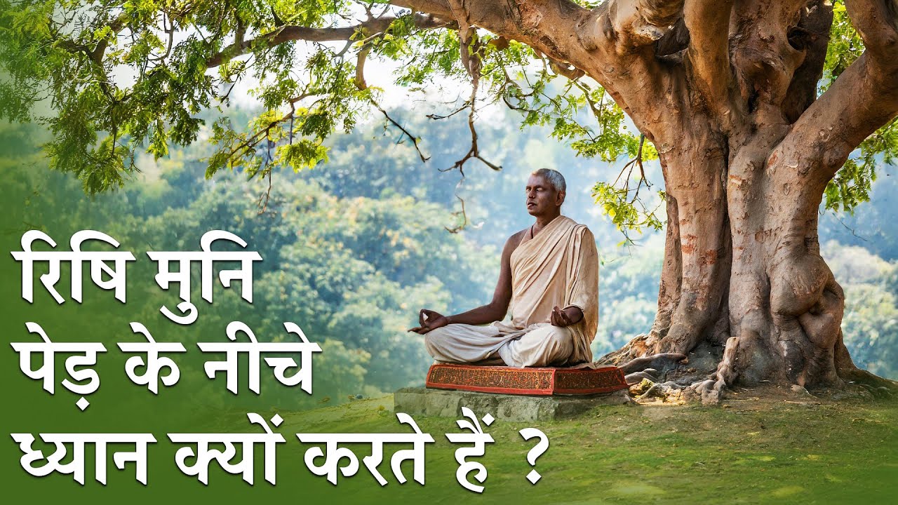 Why does Rishi Muni meditate under the tree? | पेड़ों का महत्व - YouTube