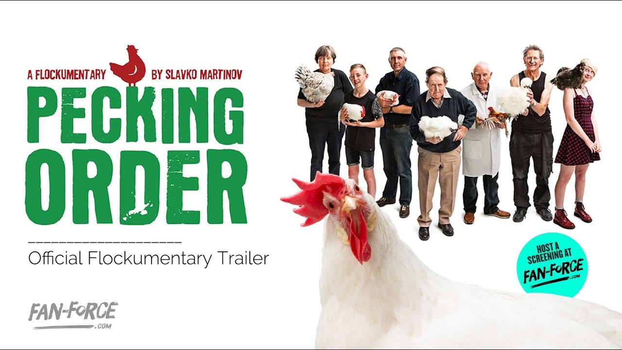 PECKING ORDER | Official Trailer HD - YouTube