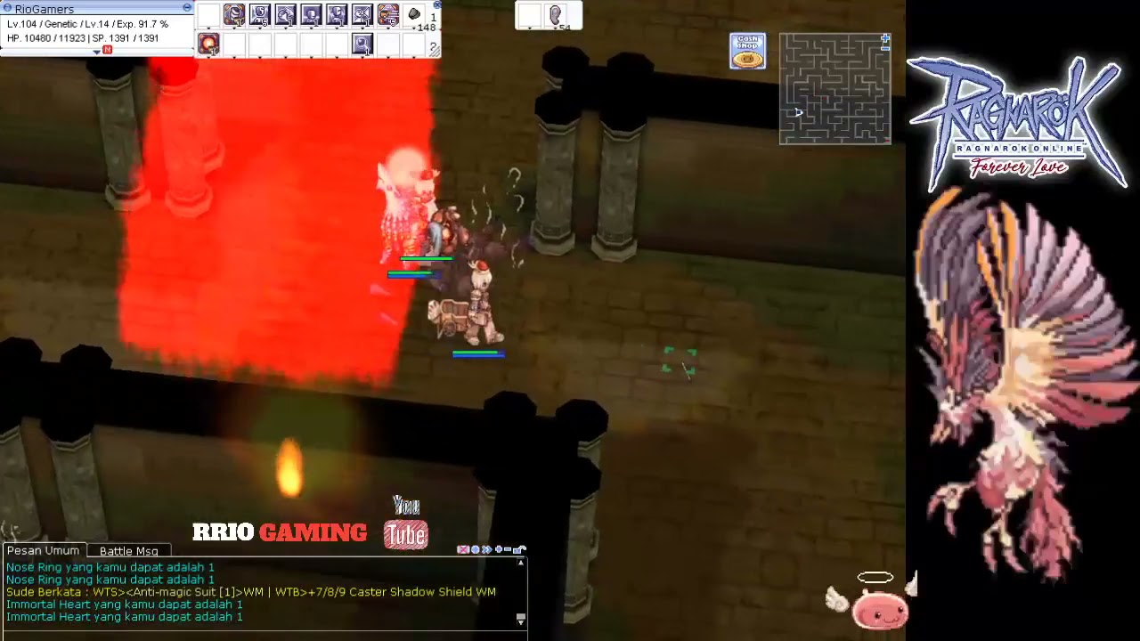genetic homunculus dieter bayeri hunting moroc dungeon ragnarok online ...