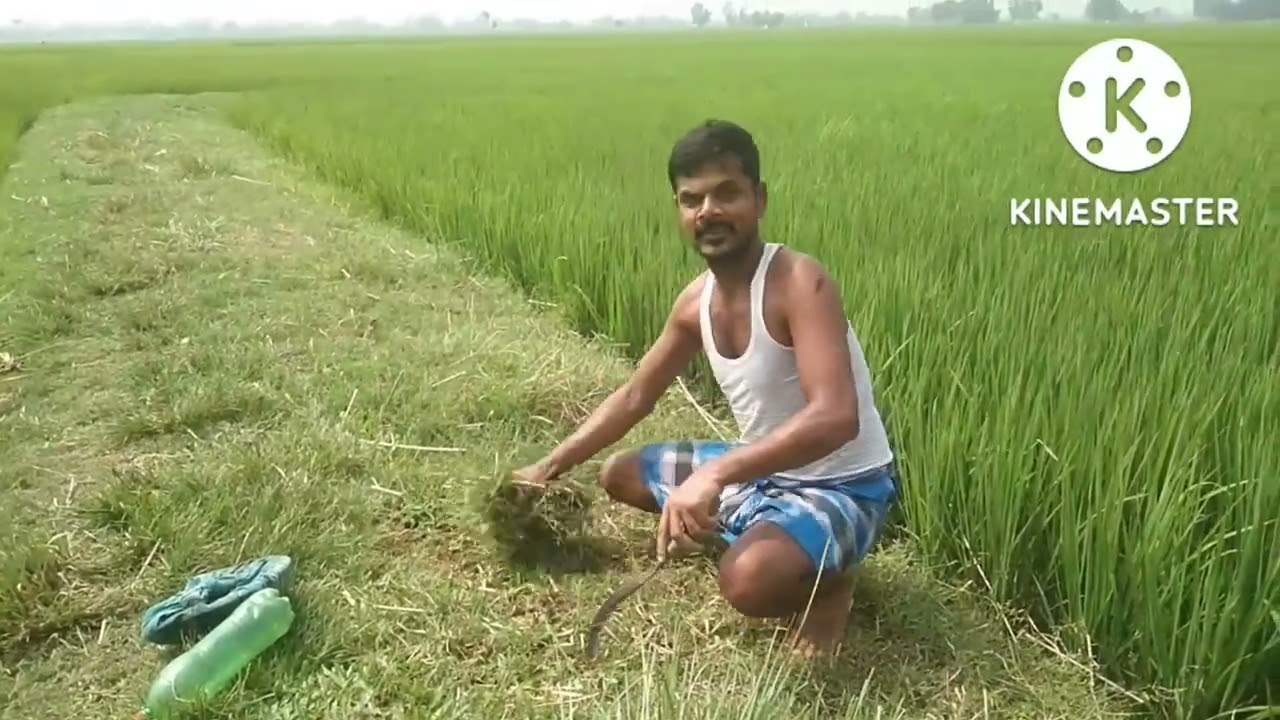 घास काटने का मशीन कैसे बनाएं ghas katne wali machine kaise banaen - YouTube