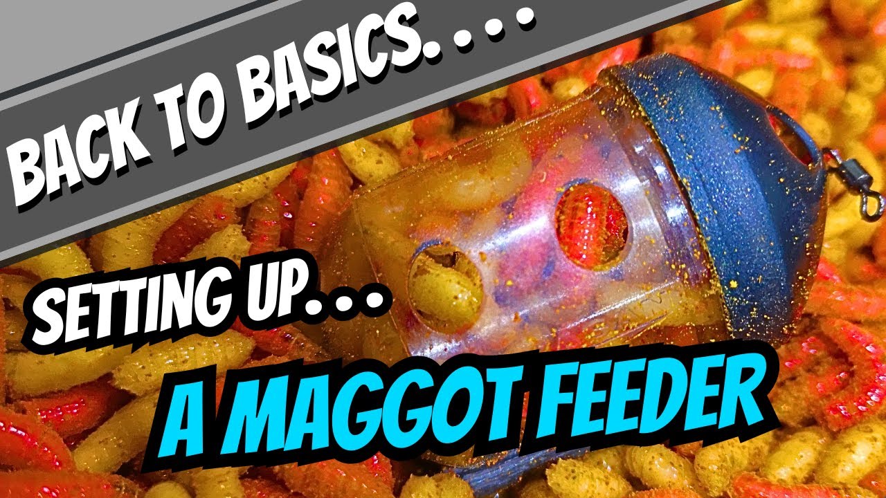Match Fishing Basics - Setting Up A Maggot Feeder - How To Set Up A ...
