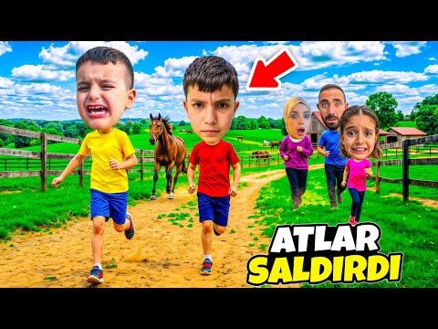 POYRAZ ELİF AT ÇİFTLİĞİNDE BÜYÜK OLAY ÇIKTI!!!KUZENİME AT SALDIRDI!!!