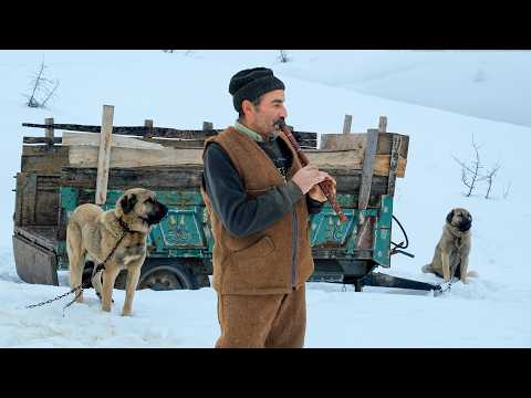 1400 Rakımda Yaşam – Emek Dolu Hayatlar | Belgesel Film