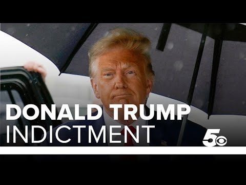 Donald Trump and 18 others indicted in Georgia election probe