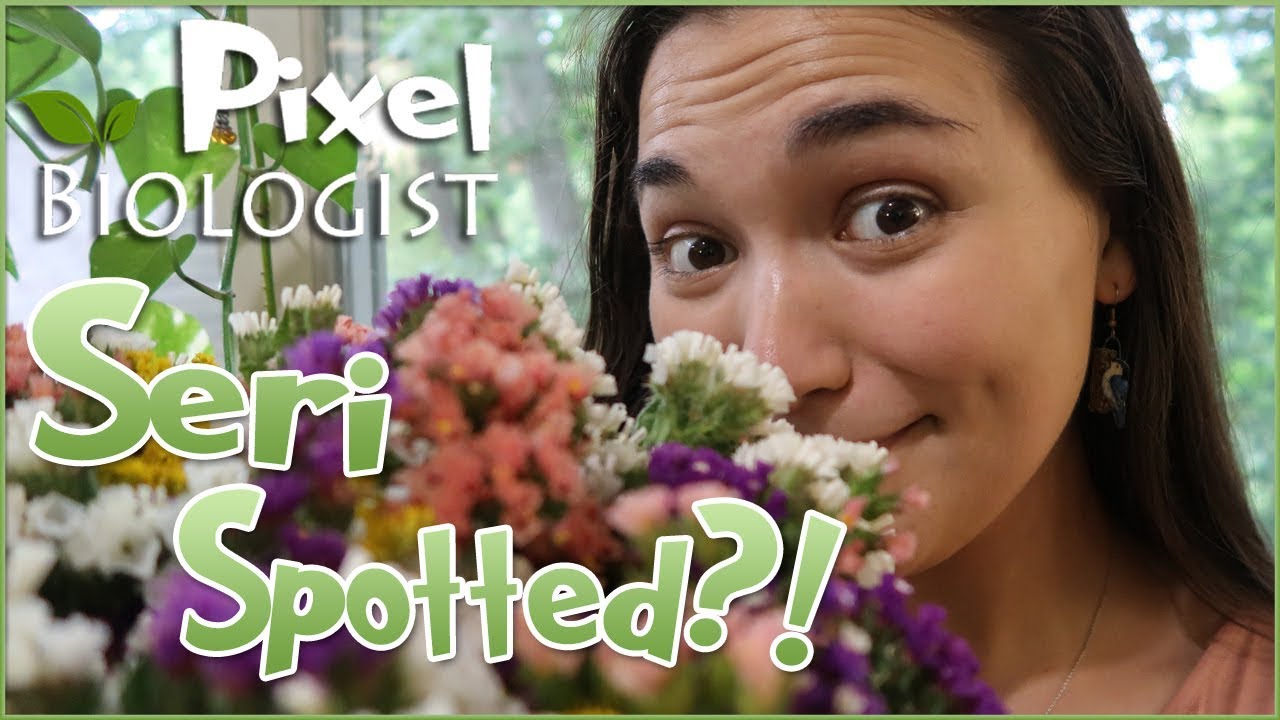 Seri Spotted in the Wild?! 🌿 • Pixel Biology Updates - YouTube