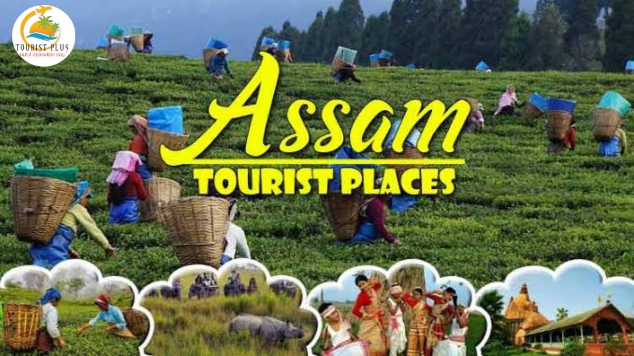 Assam best place. Assam best tourist places - YouTube