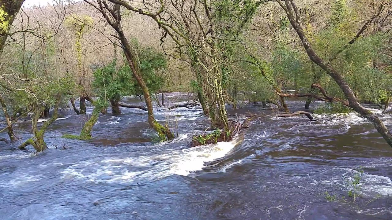 River Dart in Spate, January 3 2016 - YouTube