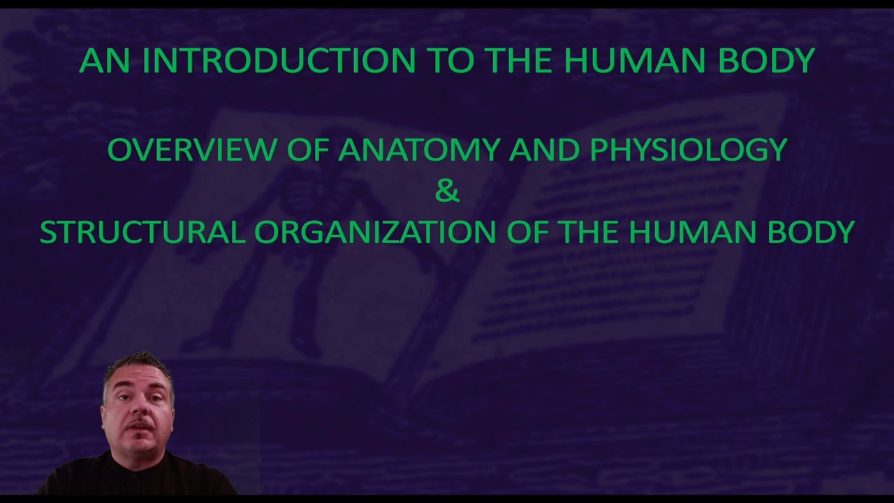 An overview of anatomy and physiology and structural organization of ...