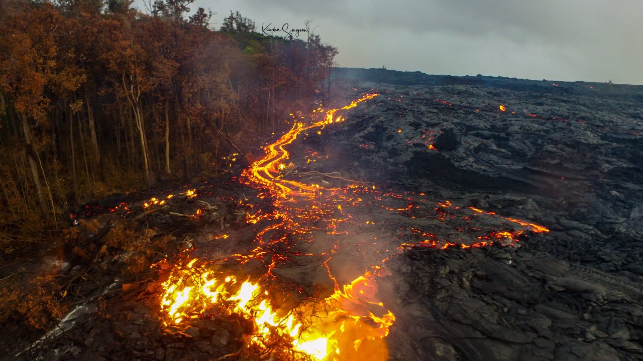 Lava Tree Molds - YouTube