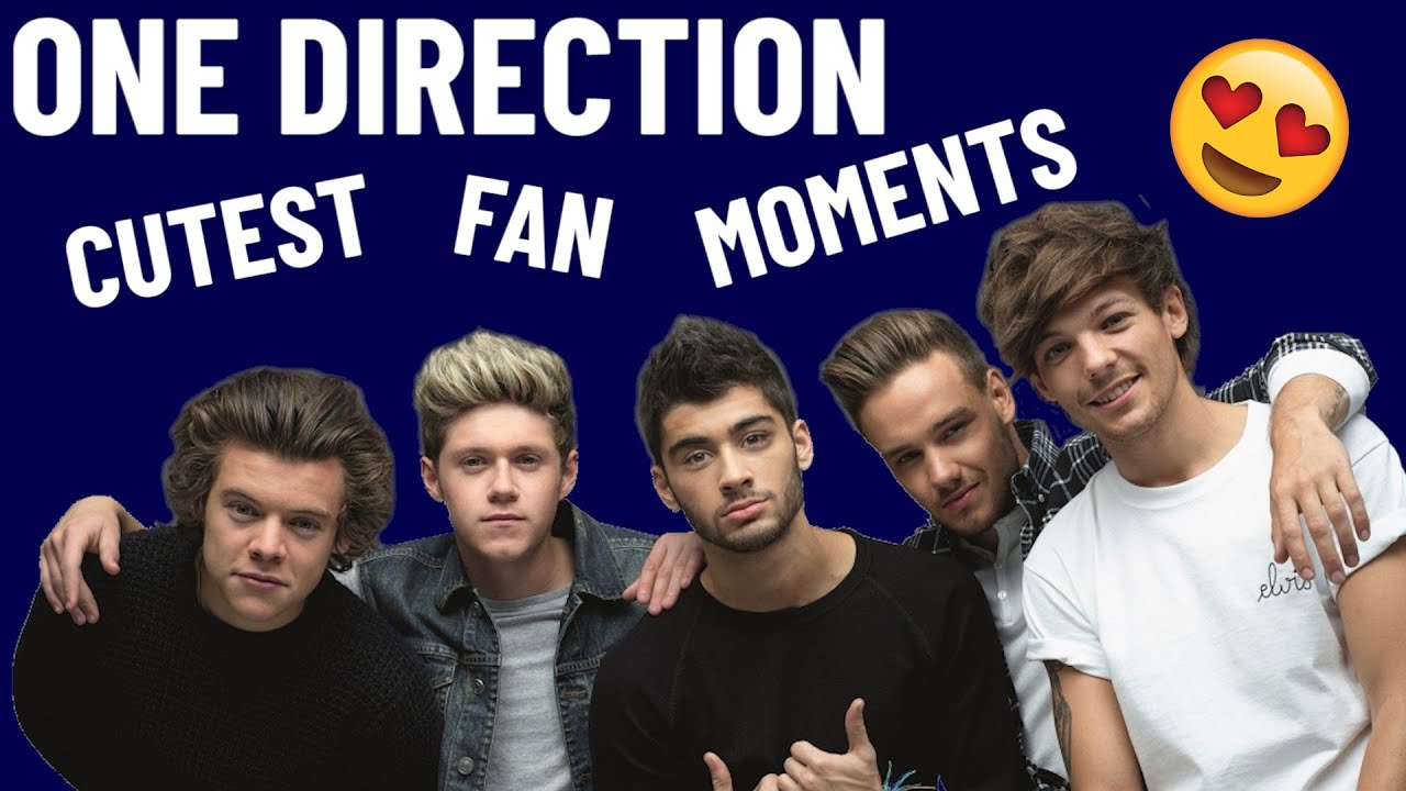 10 Cutest One Direction Fan Moments - YouTube