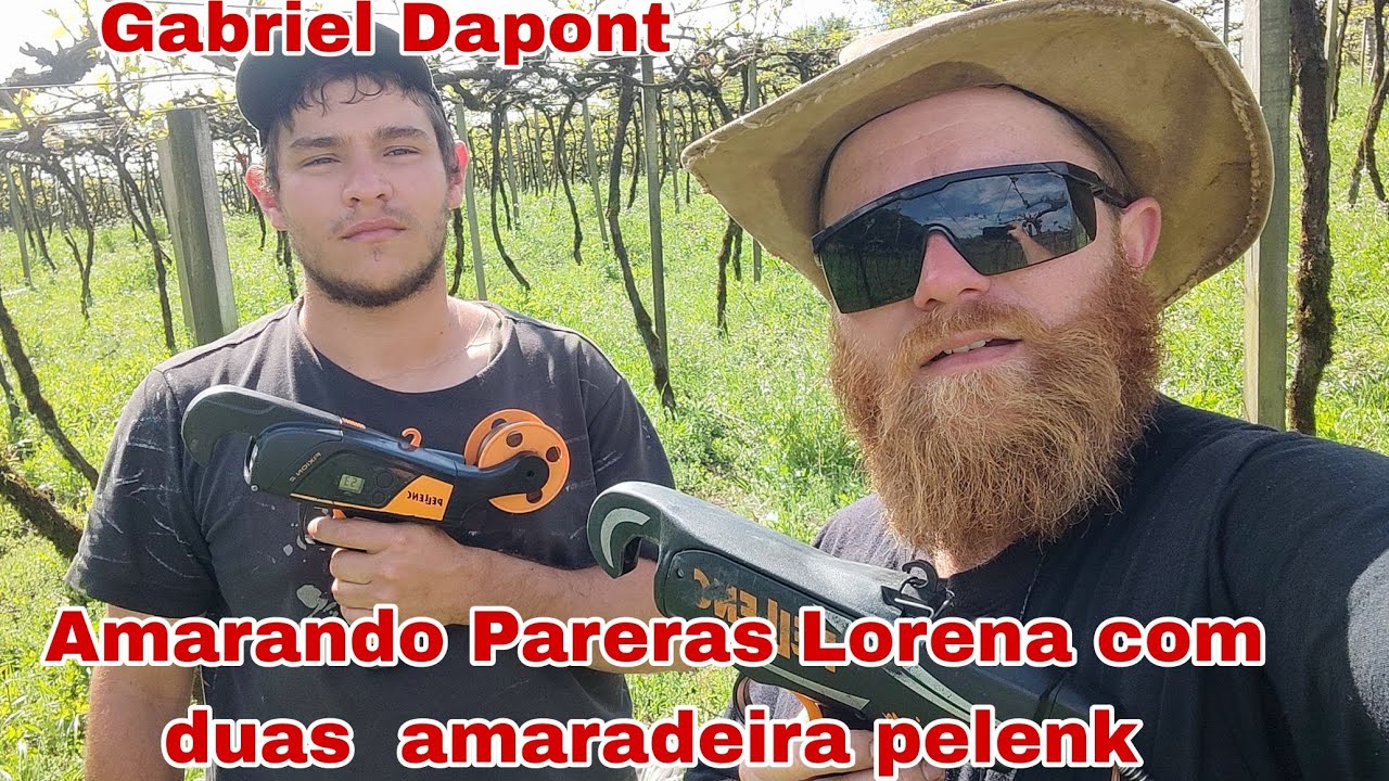 Amarando parera Lorena com amaradeira elétrica pelenk - YouTube