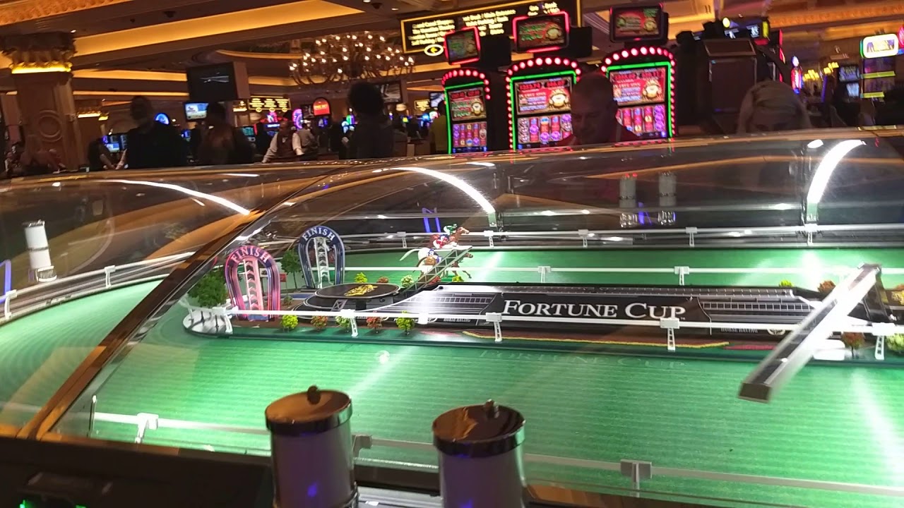 Fortune Cup horse racing at Venetian Nov 2017 1 of 3 - YouTube