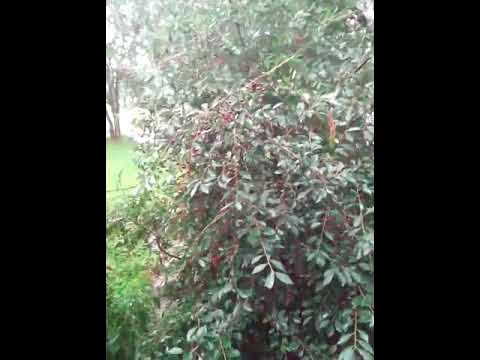 вот такой ужас. - YouTube