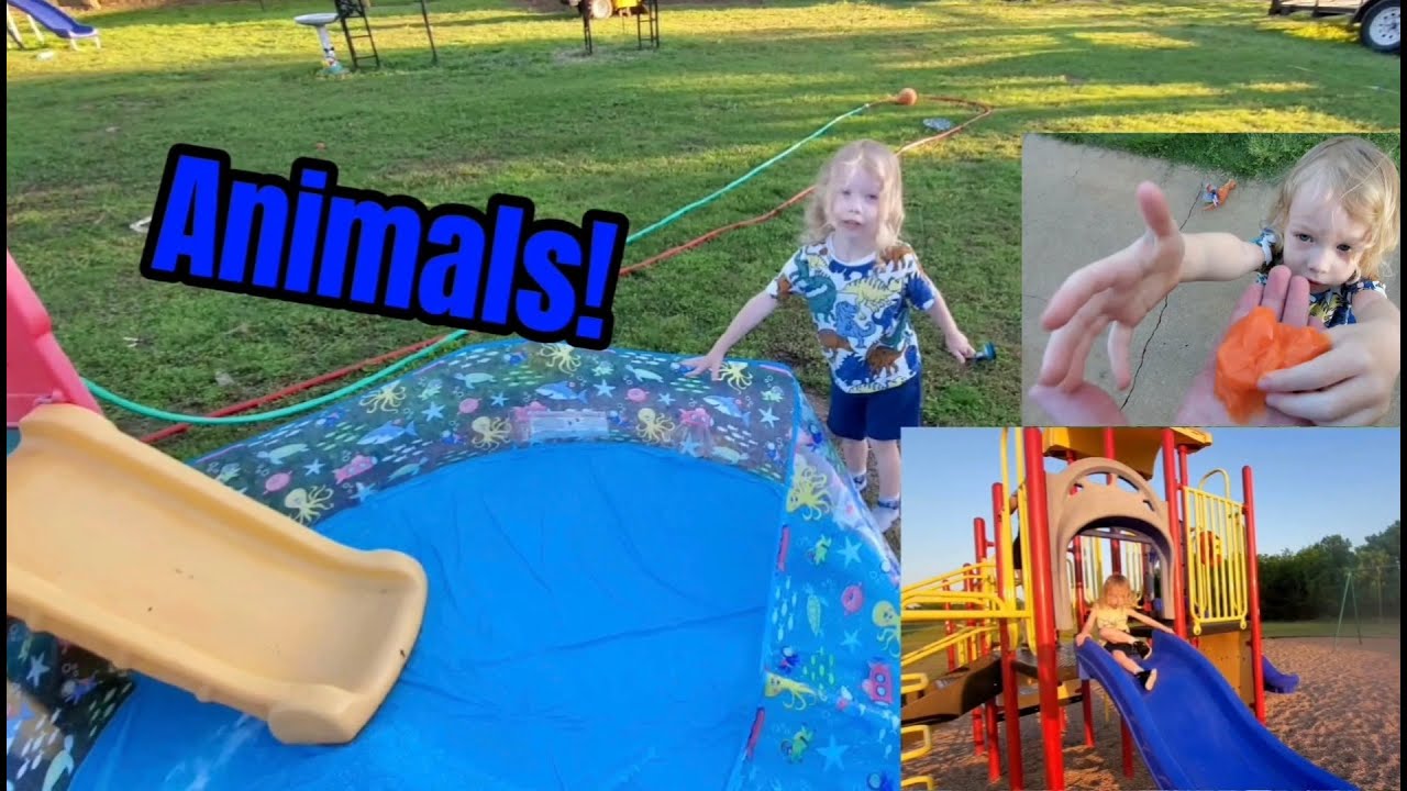 Animal Playground Fun! - YouTube