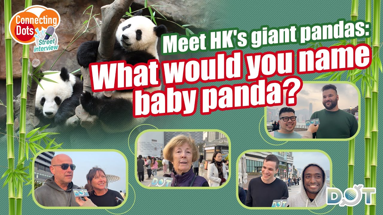 Meet HK's giant pandas: What would you name baby panda? - YouTube
