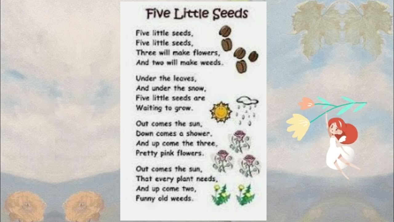 Five Little Seeds | Poem - YouTube