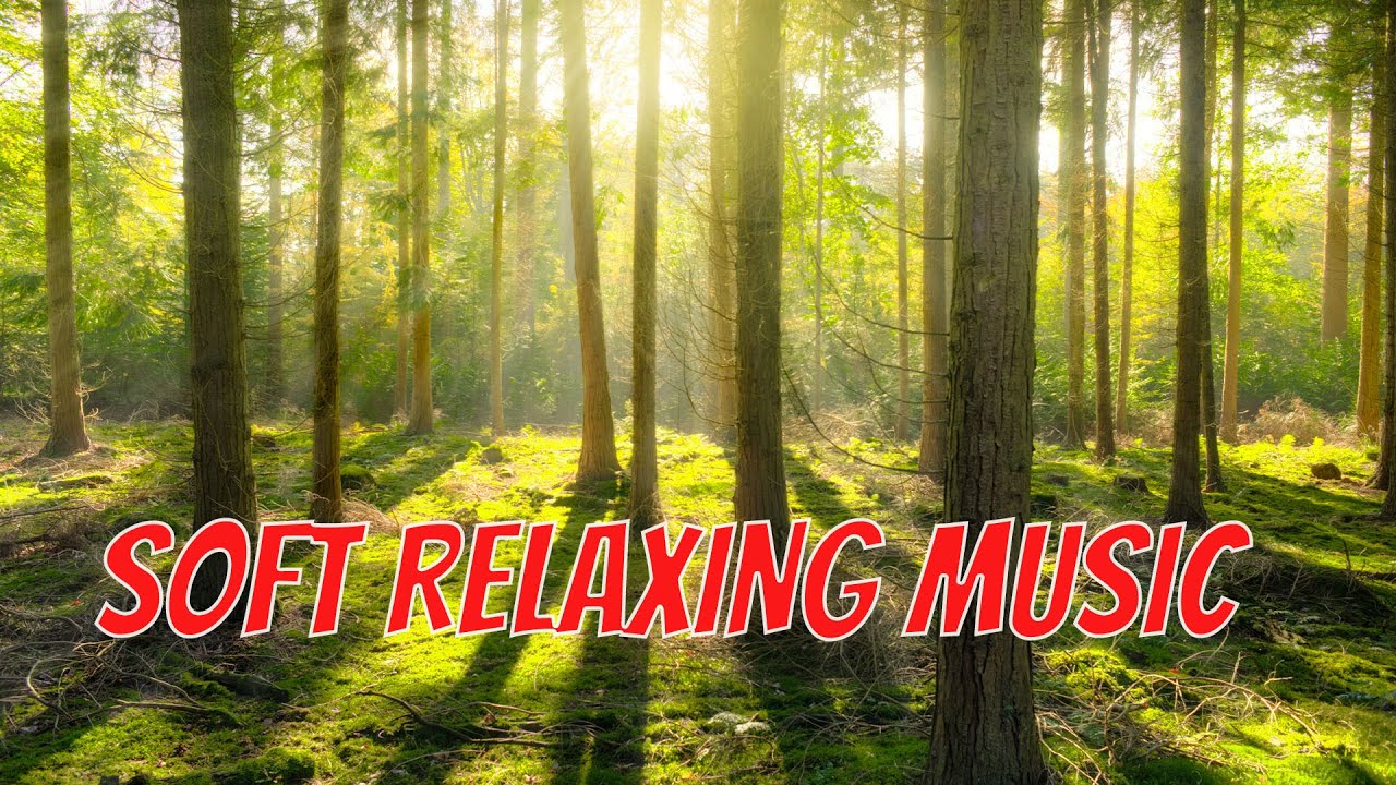 soft relaxing video || mind refreshing video - YouTube