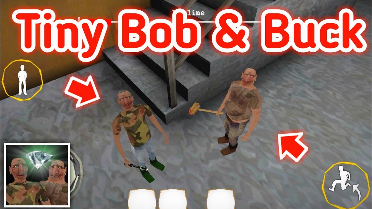 Tiny bob & buck | The twins full gameplay - YouTube