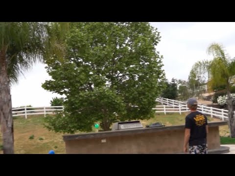 dangie bros funny moments. - YouTube