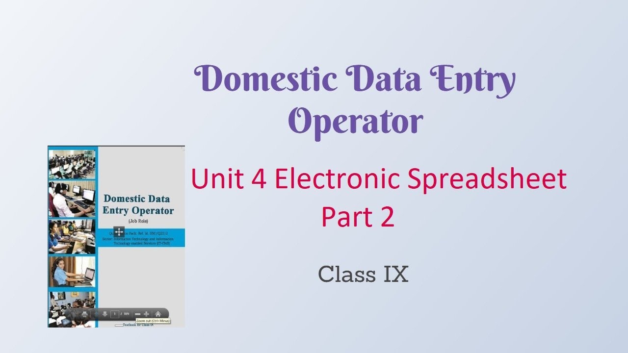 Domestic Data Entry Operator | Class IX | Unit 4 Electronic Spreadsheet ...