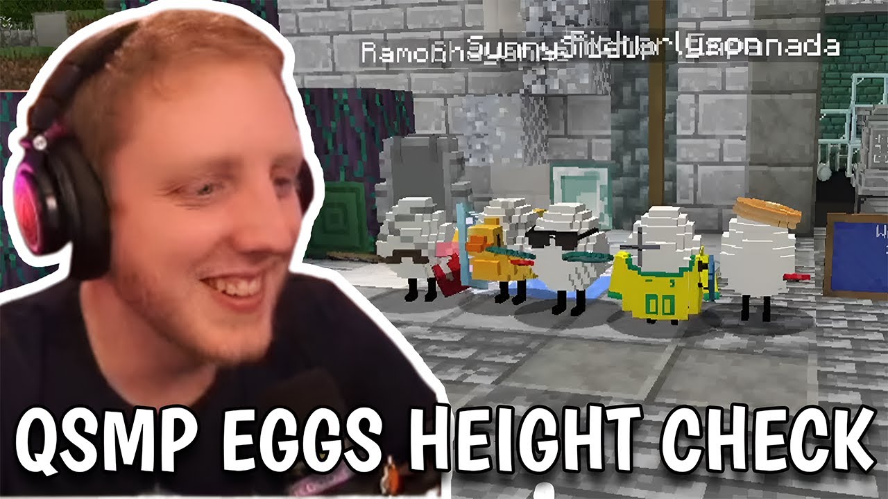 All QSMP Eggs Height Check || QSMP - YouTube