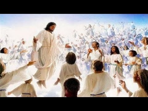 "El que quiera salvar su vida, la perderá..." - YouTube