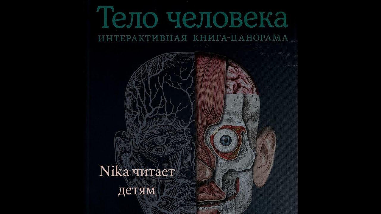 Тело человека Издательство МИФ Youtube