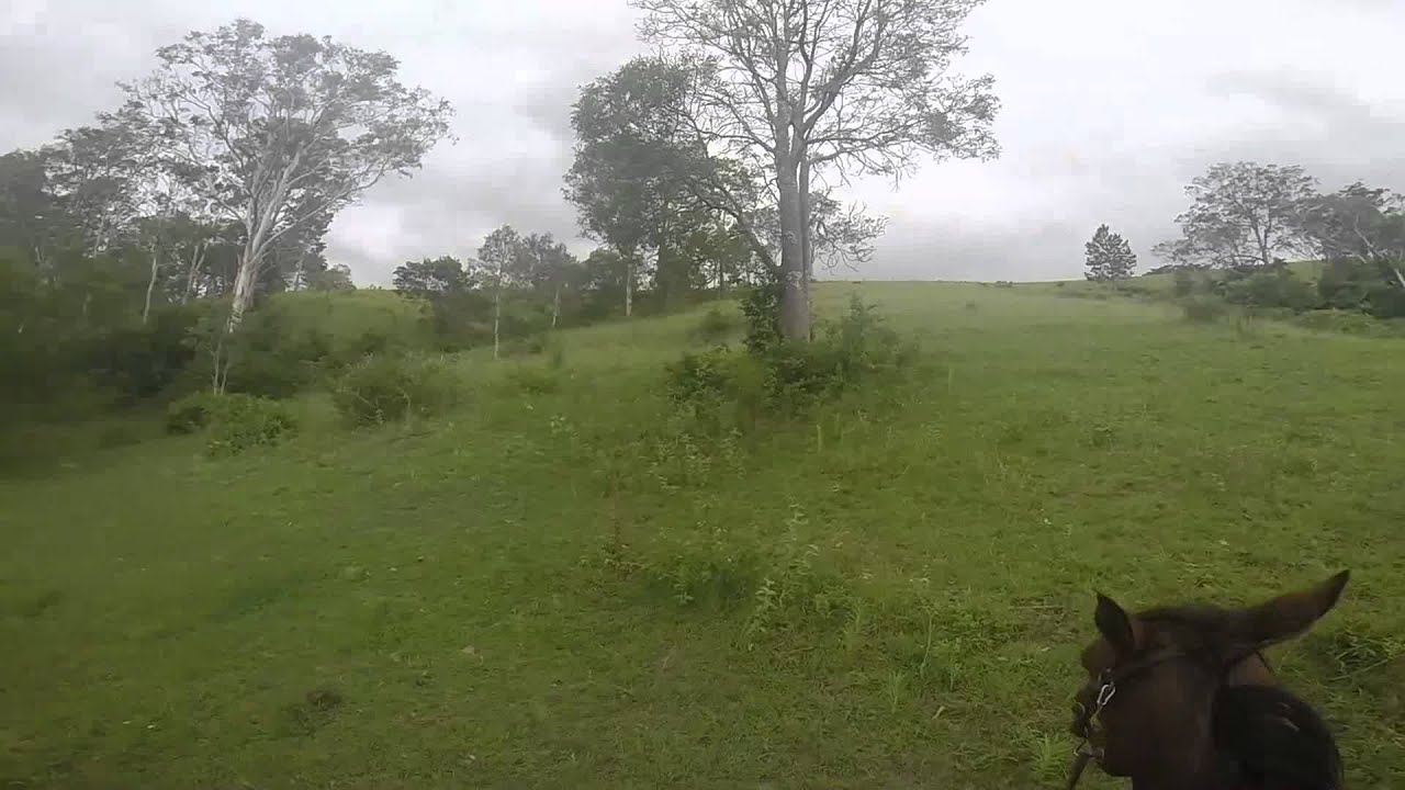 Horse Riding at Ocean View - YouTube