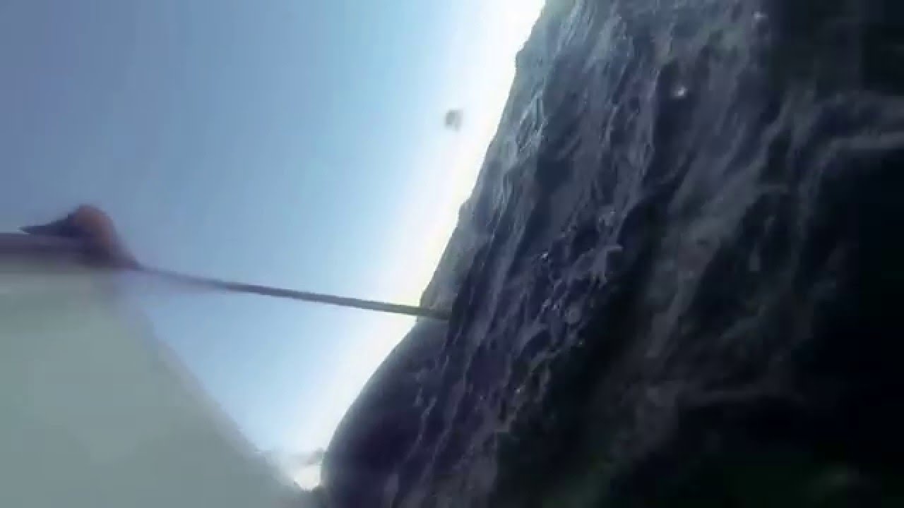 Whale Scrubbing - YouTube