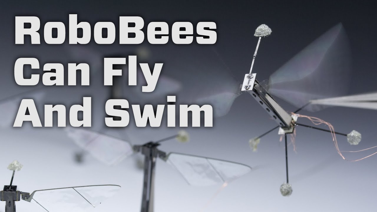 RoboBees Can Take To the Sky And Swim Underwater - YouTube