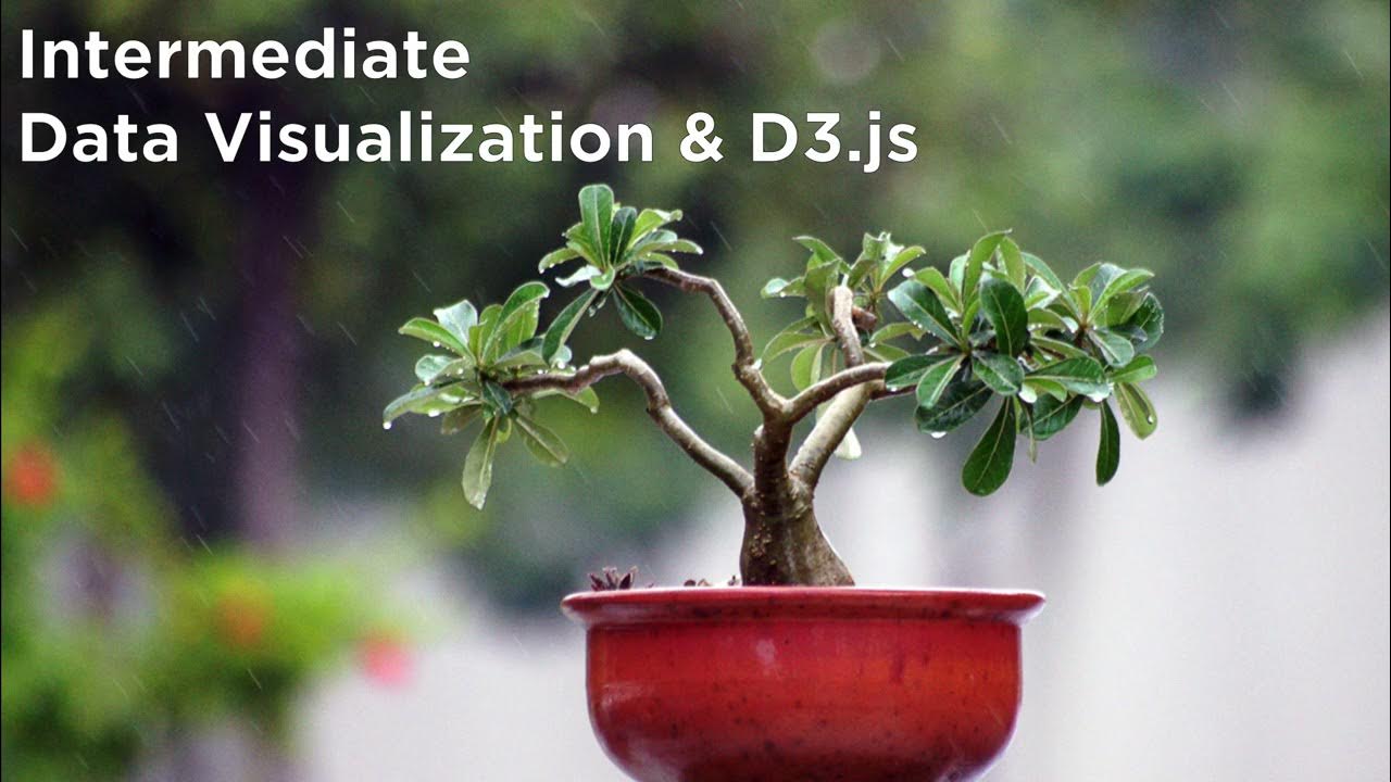 D3.js Intermediate Data Visualization Training Introduction - D3.js v3 Tutorial - YouTube