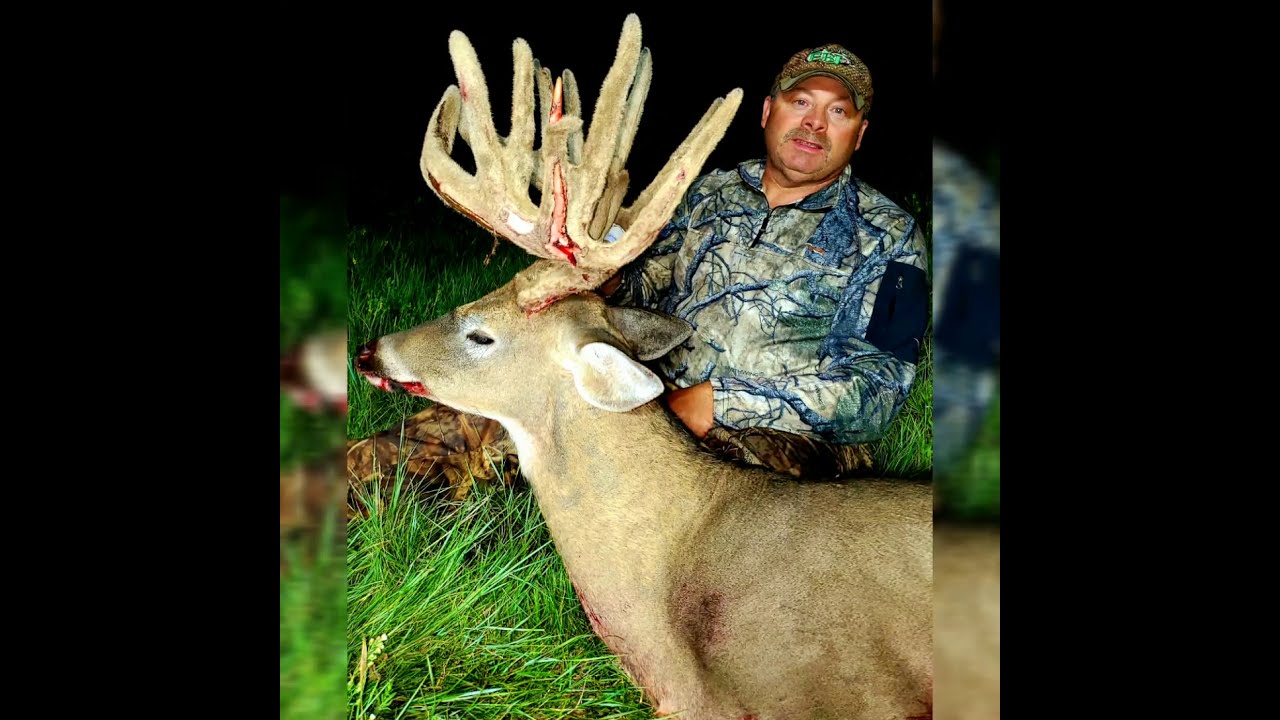 Chad's archery velvet buck - YouTube