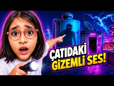 ELİF ASEL EVDE GİZEMLİ SES VAR !! GİZEMLİ SESİ BULMA OPERASYONU