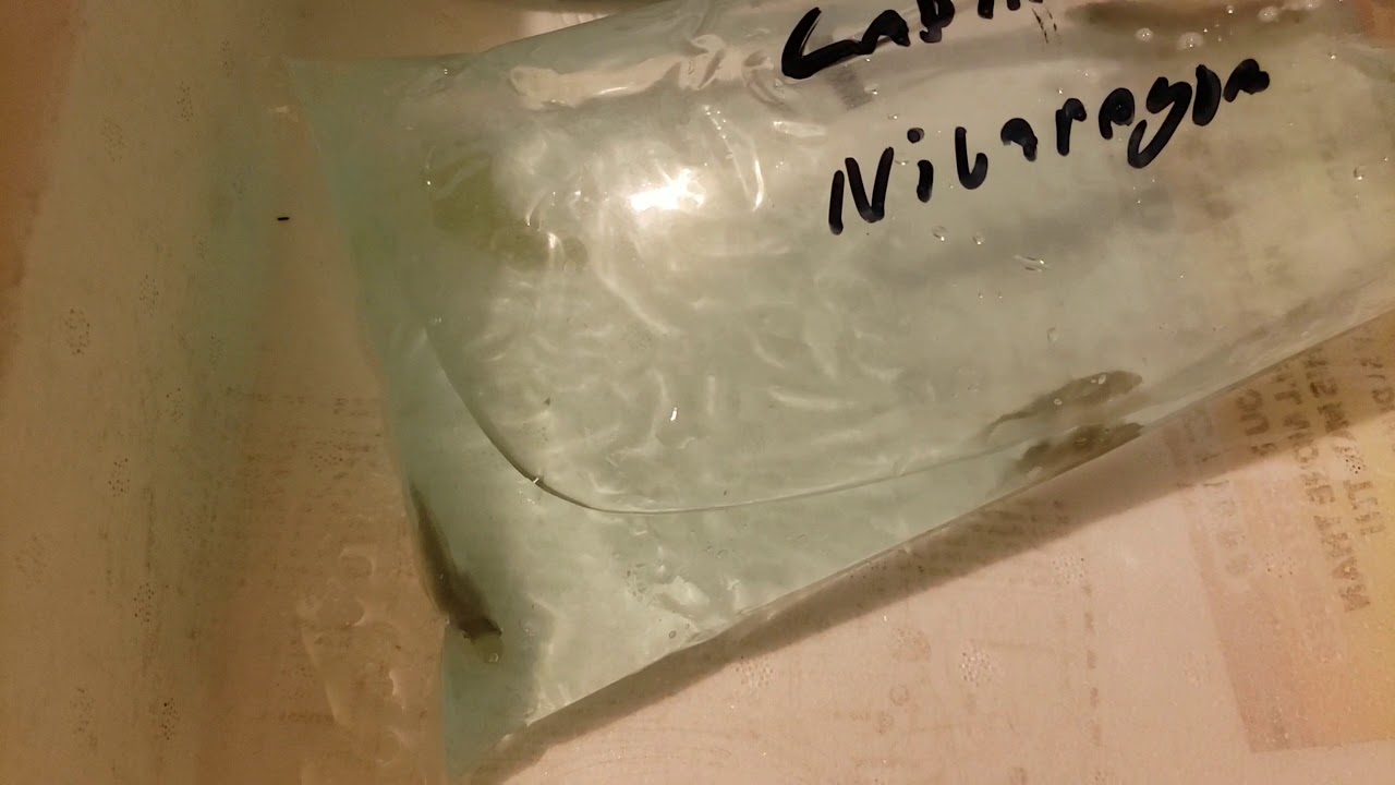 A GIFT FROM THE COLLECTOR RUSTY WESSEL - YouTube