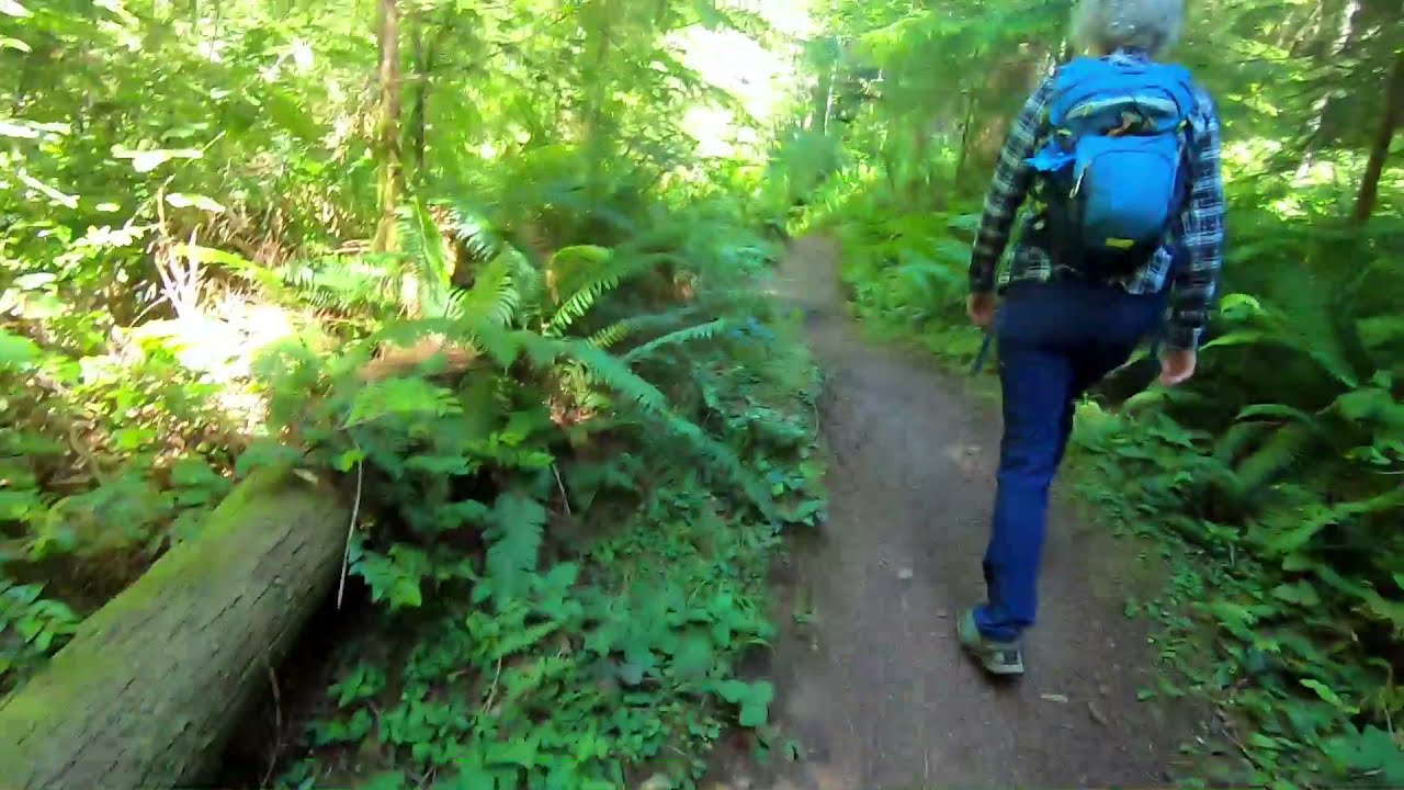 Banner Forest Heritage Park - YouTube