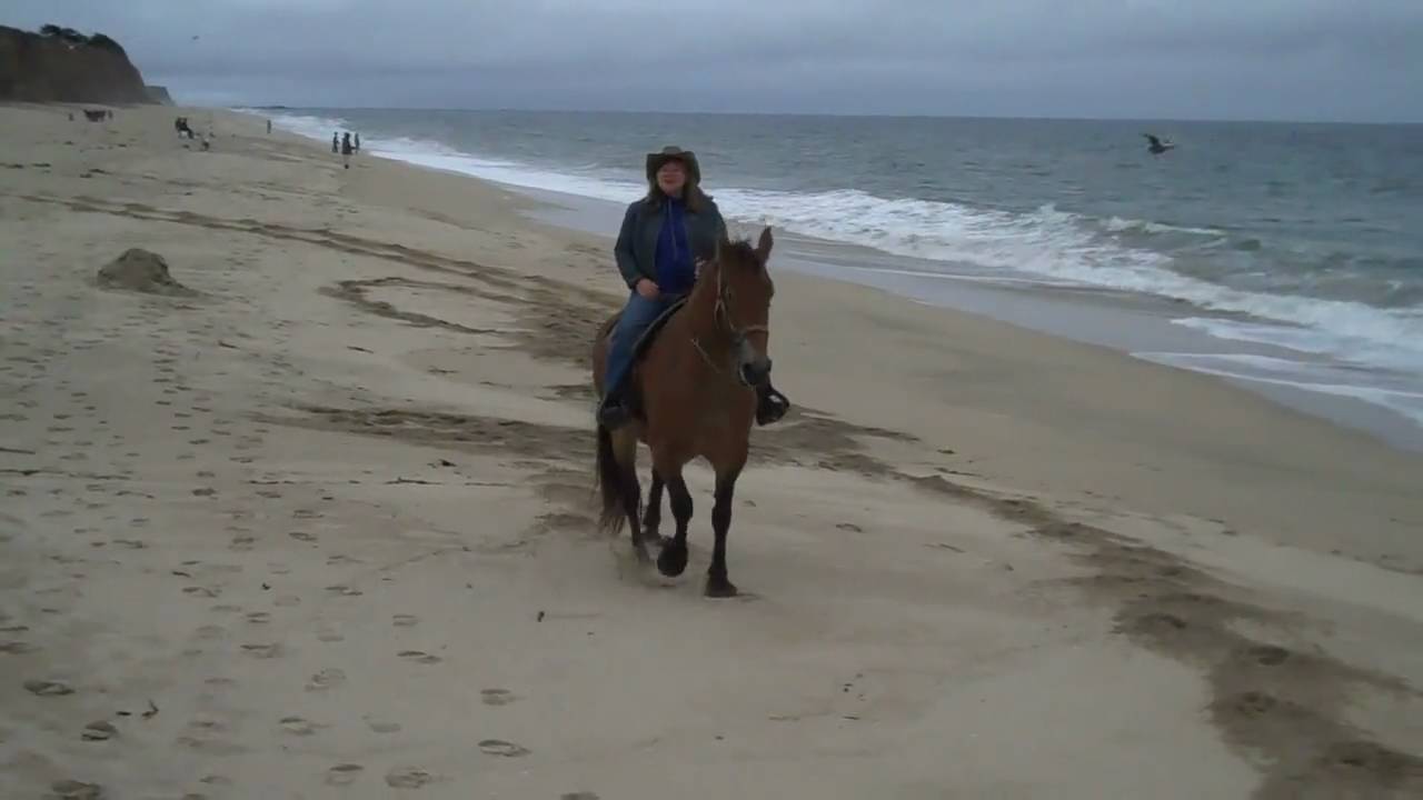 Horseback Riding Half Moon Bay California - YouTube