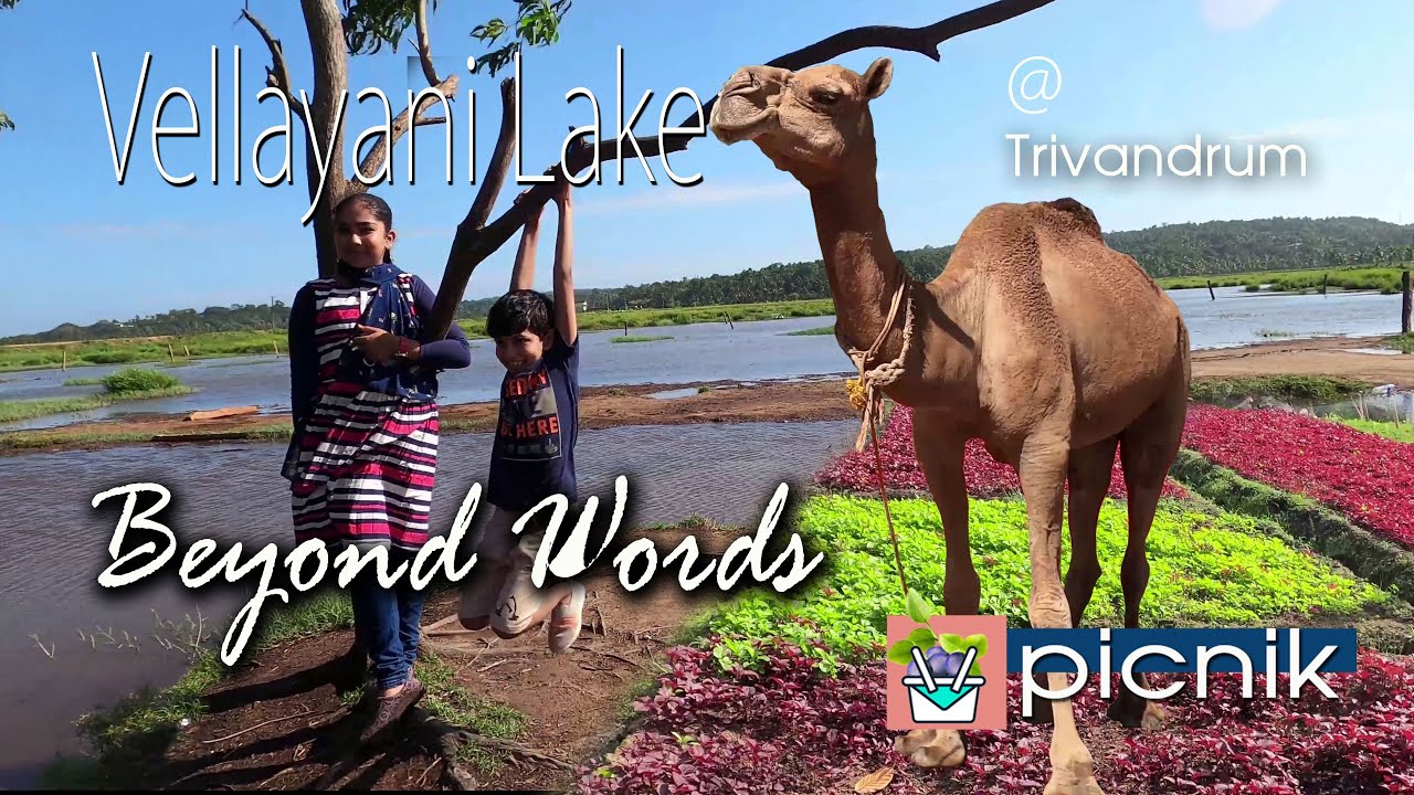 [4K]picnik-South kerala Travel Series EP-1 #Vellayani#kovalam# ...