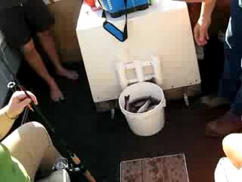 Fishing Swift Reservoir WA - YouTube