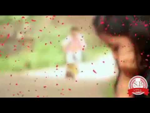 Super lovely status video....😍😍