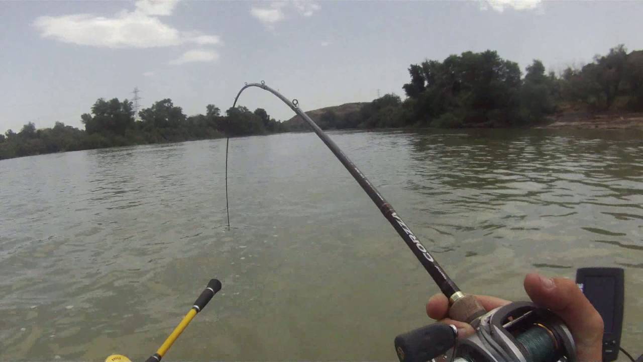 Major Craft Corzza, catfish - YouTube