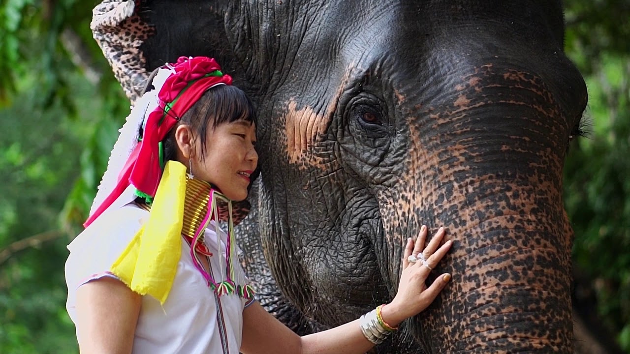 Maetaeng Elephant Park & Hug Chang Chiang Mai - YouTube