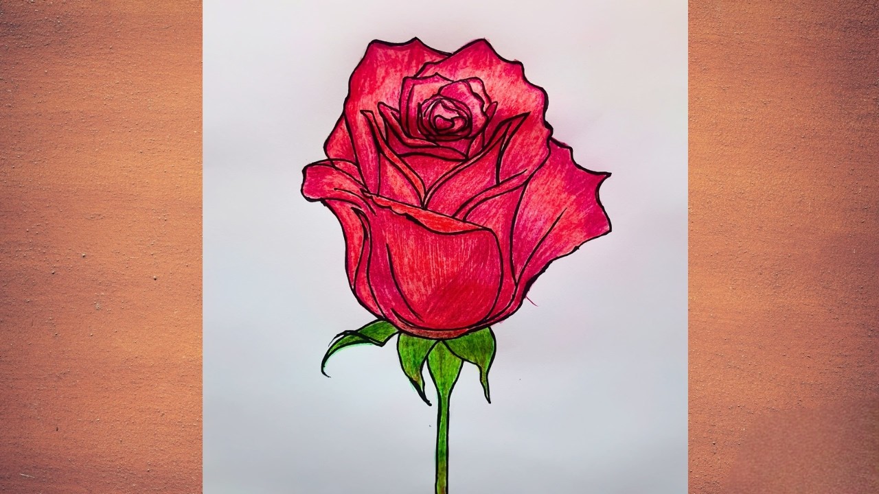 How to draw rose flower easy. Rose flower drawing . How to colour rose ...