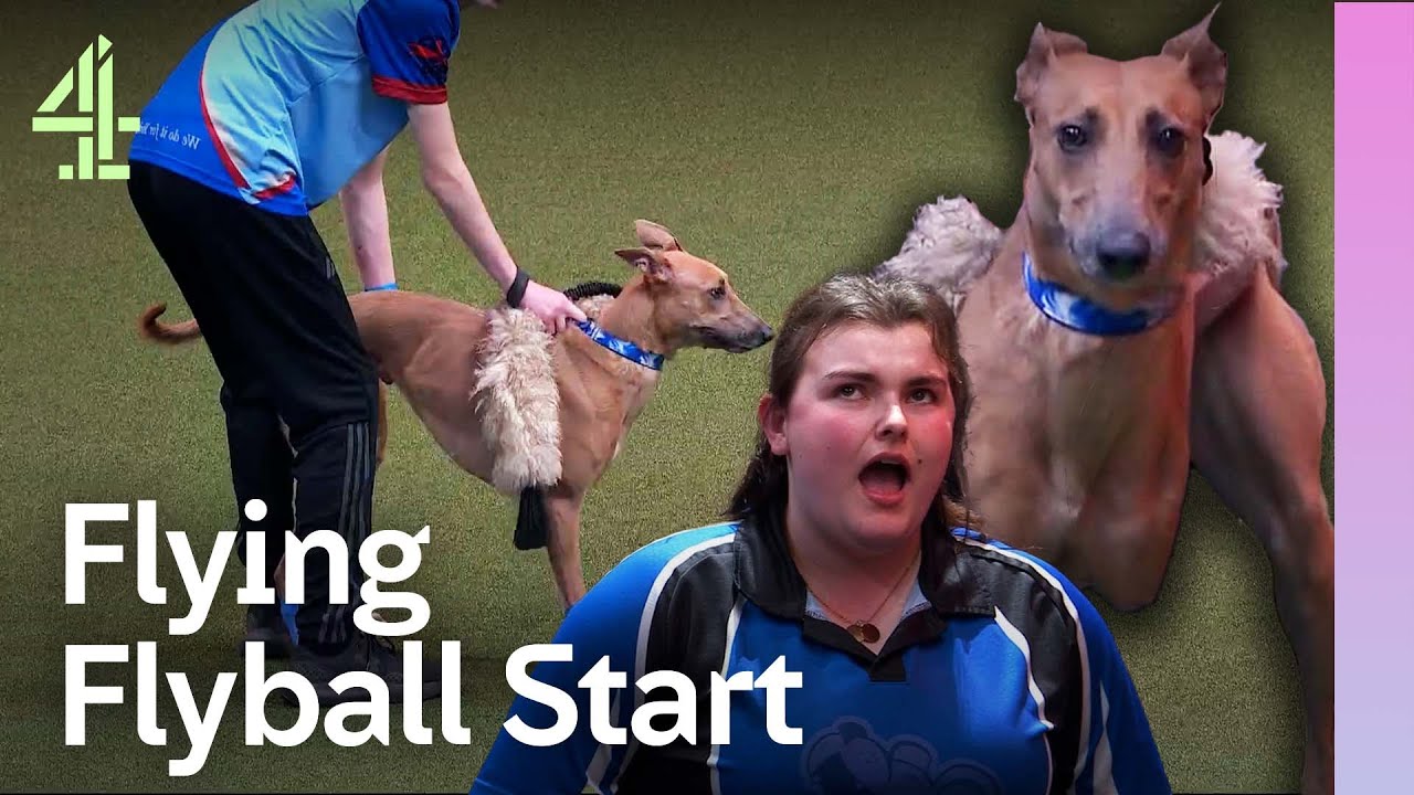 Lightning Quick Competition | Flyball Round of 16 | Crufts 2025 - YouTube